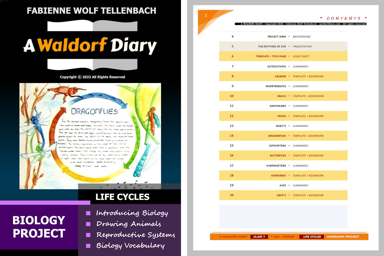A Waldorf Diary - Life Cycles